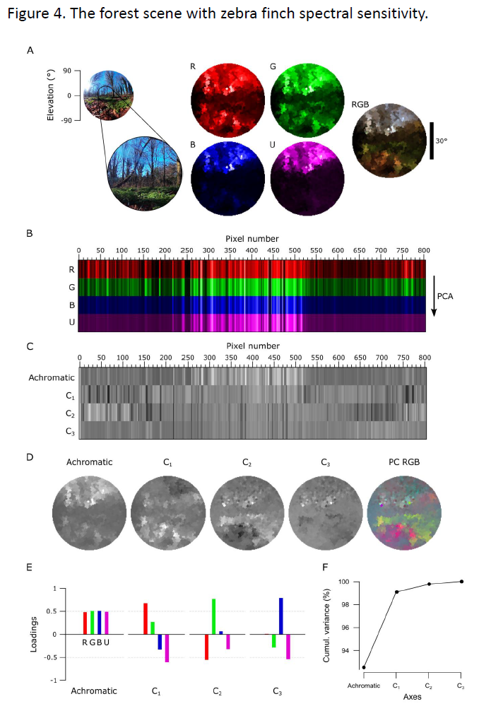 Hyperspectral Scanner – Open-Labware.net