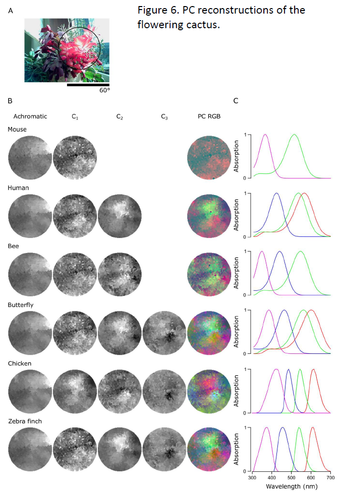 Hyperspectral Scanner – Open-Labware.net
